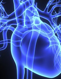 AFib With RVR: Understanding Rapid Ventricular Response with AFib